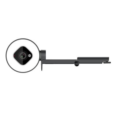 China 1080p USB Auto Focus Webcam Dual Stereo Mic Ring Light Webcam for sale