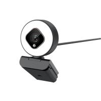 China 1080p USB Auto Focus Webcam Dual Stereo Mic Ring Light Webcam for sale