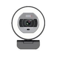 China Autofocus USB Camera 868 PLUS 1080p Sensor with Stereo Microphone for sale