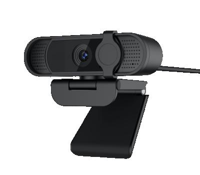 China 2K Business Meeting Webcam Stereo Microphone USB Camera with Light for sale