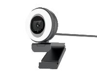 China 1080P 60FPS Autofocus Webcam with Touch Fill Light for Professional Video Calls for sale