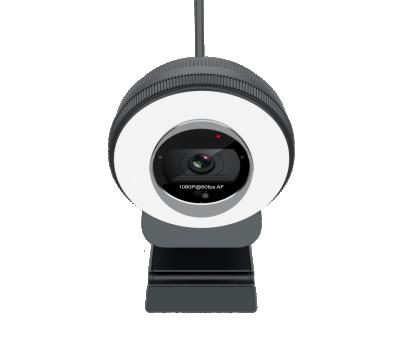 China Plug and Play USB Webcam for Online Meetings, Streaming, and Distance Learning for sale
