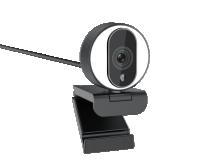 China Business Conference Webcam with 1080P Video and Built-in Microphone for Online Meetings for sale