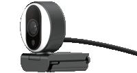 China Remote Work Webcam with Autofocus and Adjustable Lighting for Home Office for sale