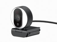 China Remote Work Webcam with Autofocus and Adjustable Lighting for Home Office for sale