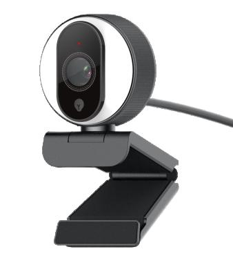 China Compact Plug and Play Webcam with 1080P Resolution for Daily Video Calls for sale