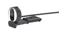 China Compact Plug and Play Webcam with 1080P Resolution for Daily Video Calls for sale