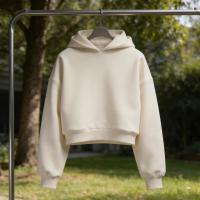 China Custom French Terry Heavyweight 100% Cotton 450 500 Gsm Blank Men's Hoodie High Quality Oversized Cropped Boxy Pullover Hoodie for sale