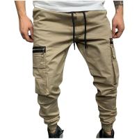 China Men's Cargo Pants Multi-pockets Work Pant for Men Workwear Regular Fit Track Trousers Men Comfortable Sweatpants for sale