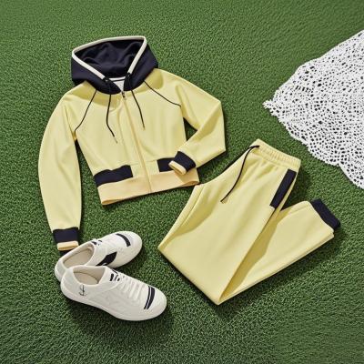 China High Quality Designer Blanks Y2k Flared Jogging Tracksuit for Girls Streetwear Cropped Slim Distressed Zip up Hoodie Set Women for sale