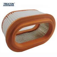 China Treaton Auto Parts OEM 28113-4F000 AIR FILTER for Starex H100 With High Quality for sale