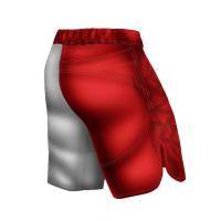 China Grappling Martial Arts MMA Sportswear Rashguard And Shorts  Sublimated Print for sale