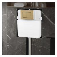 China Bathroom Gold Color Smart Toilet with Upper Cistern and Customizable Colored Water Tank for sale