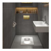 China Bathroom Gold Color Smart Toilet with Upper Cistern and Customizable Colored Water Tank for sale