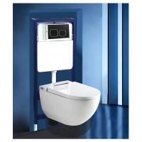 China Floor Mounted Installation Modern Ceramic Toilet WC with Plastic Steel Flush Water Tank for sale