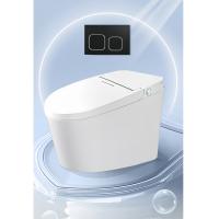 China Floor Mounted Installation Modern Ceramic Toilet WC with Plastic Steel Flush Water Tank for sale