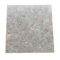 China Foshan Floor Polished Tile Ceramic with 600*600 Specification and 0.5% Water Absorption for sale