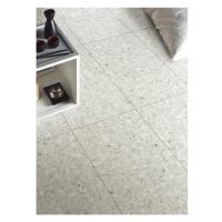 China 600x600mm Building Material Porcelain Outdoor Floor Tiles Slip Resistant and Durable for sale