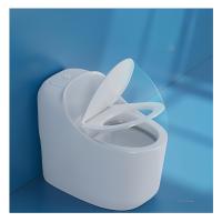 China Slowly Closing Seat Cover One-Piece Elongated Non-Electric Toilet for American Market for sale