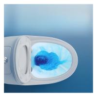 China Slowly Closing Seat Cover One-Piece Elongated Non-Electric Toilet for American Market for sale