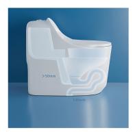China Slowly Closing Seat Cover One-Piece Elongated Non-Electric Toilet for American Market for sale
