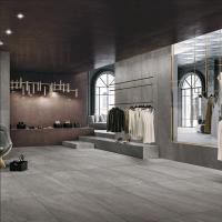 China Modem Simplicity Style Bathroom Tiles Matte Luster and 600*1200 Floor Specification for sale