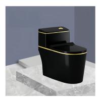 China Installation Floor Mounted Dual Flushing Siphon Flush Black Ceramic One Piece Toilet for sale