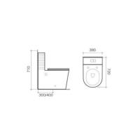 China Black Floor Mounted Luxury One Piece Siphon Elongated Toilet for South American Market for sale