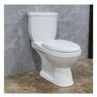 China Dual-Flush Traditional Design Comfortable Washdown Water Closet Toilet Seat for Bathroom for sale