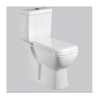 China Slowly Toilet Seat Cover and Dual-Flush Water Closet for Modern White Color Bathroom for sale