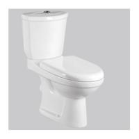 China Traditional Design Style Modern Ceramic Toilet WC Floor Mounted Siphonic One Piece Toilet for sale