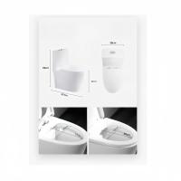 China Slowly Seat Cover Dual-Flush Washdown One Piece White Ceramic Toilet with High Durability for sale