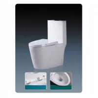 China Slowly Seat Cover Dual-Flush Washdown One Piece White Ceramic Toilet with High Durability for sale