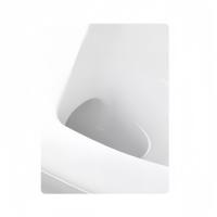 China Slowly Seat Cover Dual-Flush Washdown One Piece White Ceramic Toilet with High Durability for sale