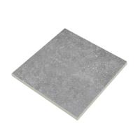 China Matte Outdoor Porcelain Homogeneous Tiles 60x60 for Non Slip Washroom and Parking Floor for sale