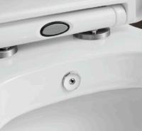 China Intelligent Automatic Gold Color Ceramic Toilet One Piece Structure Bathroom Supplies for sale