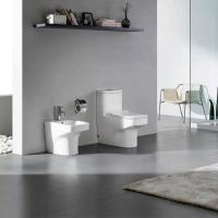 China Round Toilet Bowl Shape 730x425x810mm Glossy Glaze and Matte Black One Piece Toilet for sale
