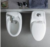 China Front Automatic Wall hung toilet bidet with Accessories Flush Pipe Component 730x425x810mm for sale