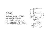 China Front Automatic Wall hung toilet bidet with Accessories Flush Pipe Component 730x425x810mm for sale