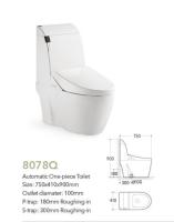 China 110v Automatic Ceramic Bathroom wc Self Cleaning Public Smart Electric Flushing Sensor Intelligent Toilet Bowl for sale