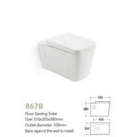 China Remote Control Villa Wall Hung Toilet with Rimless Flushing and Wall Mounted Design for sale