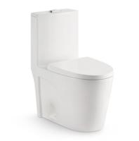China Advanced Function Water Pressure Adjustment One Piece Toilet Bowl Fitting 300mm 400mm for sale