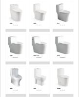 China Advanced Function Water Pressure Adjustment One Piece Toilet Bowl Fitting 300mm 400mm for sale