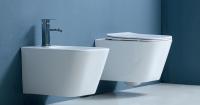 China One Piece Hotel Sanitary Ware Wall Hung Toilet with Slowly Seat Cover P-trap Drainage for sale