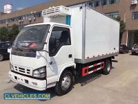 China 600P 130hp Light Duty ISUZU Reefer Truck 4.2m Length For Delivery for sale