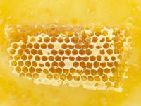 China OEM ODM 19.5cm*41.5cm Beeswax Foundation Sheets For Bees for sale