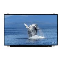 China 1920x1080 Resolution TFT LCD Panels 15.6 Inch IPS LCD Display 30 PIN With Capacitive Touch for sale
