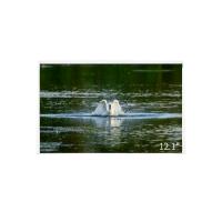 China 12.1 Inch TFT LCD Display Panel 500nits LVDS LCD Display 1280x800 Resolution for sale