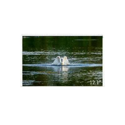 China 12.1 Inch TFT LCD Display Panel 500nits LVDS LCD Display 1280x800 Resolution for sale