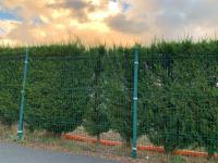 China Security Welded Wire Mesh Fence Corrosion Coating 3d Panel for sale
